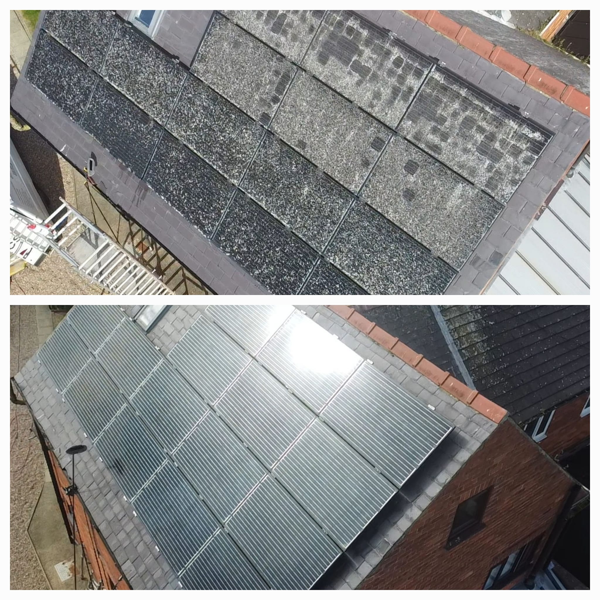Bird Droppings and Lichen: How To Remove From Solar Panels - Lincs ...