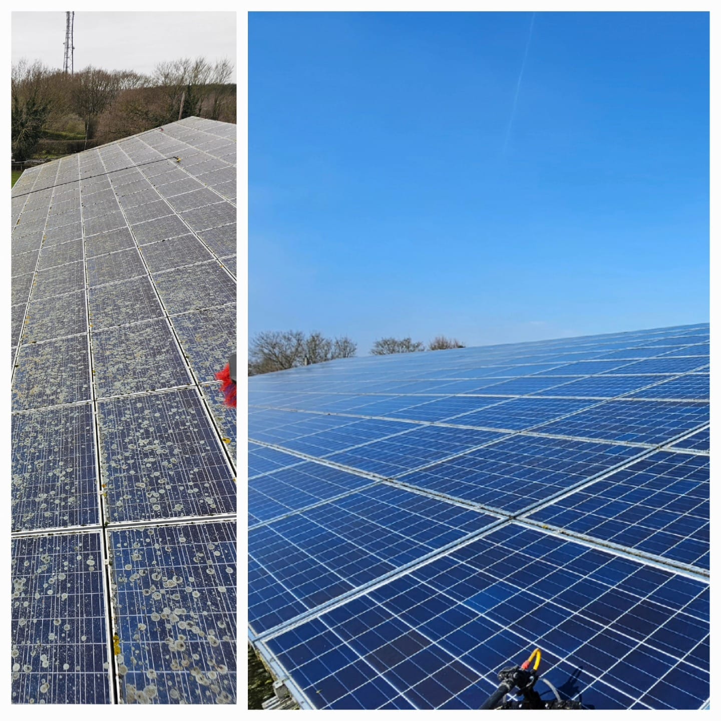 Case Study: Restoring Efficiency to a Barn-Mounted Solar Array Covered ...